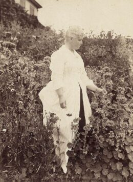 Celia Thaxter – The Ark of Grace